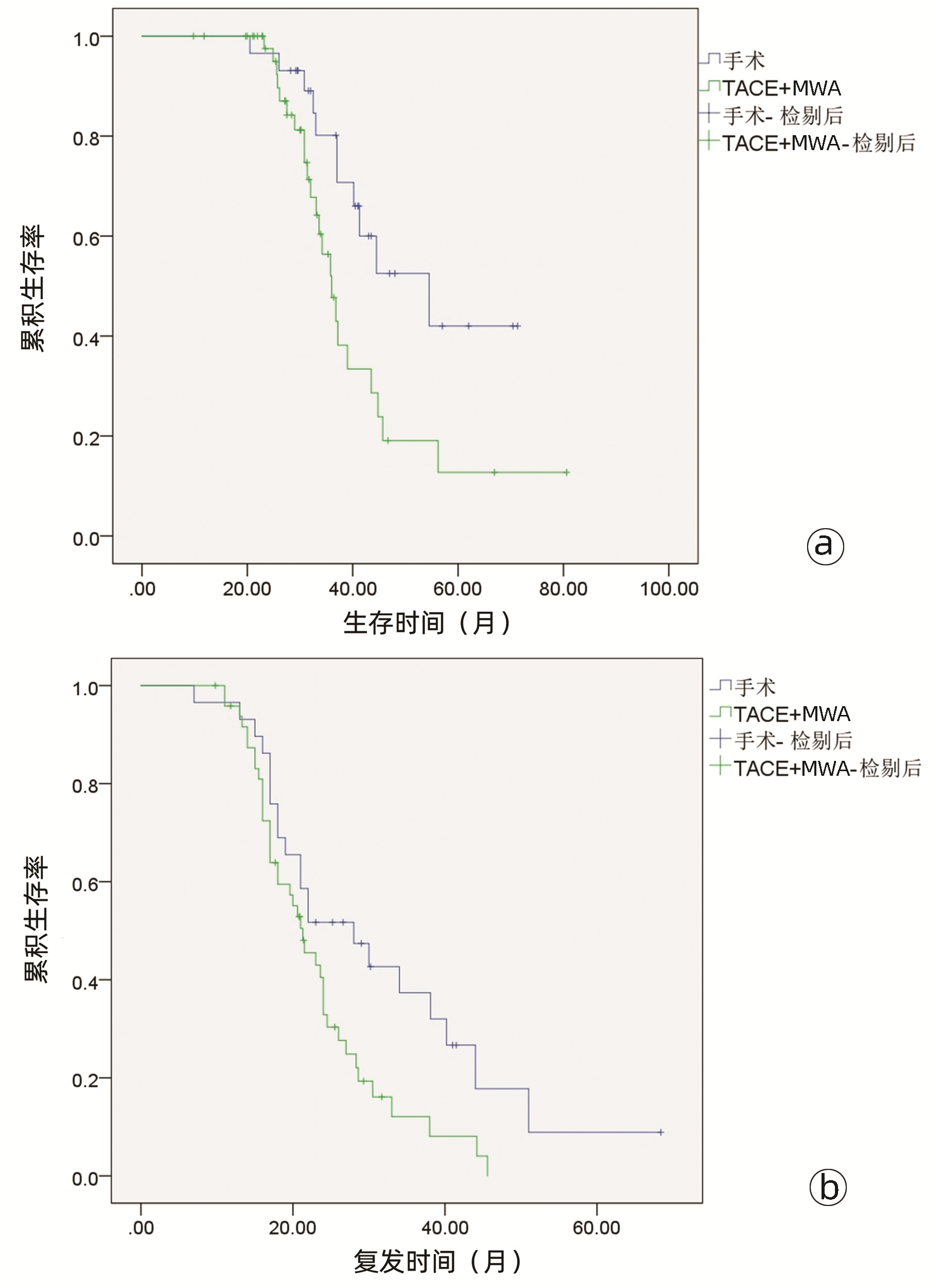 经肝动脉化疗栓塞术联合微波消融与重复肝切除术治疗复发性肝细胞癌的效果比较