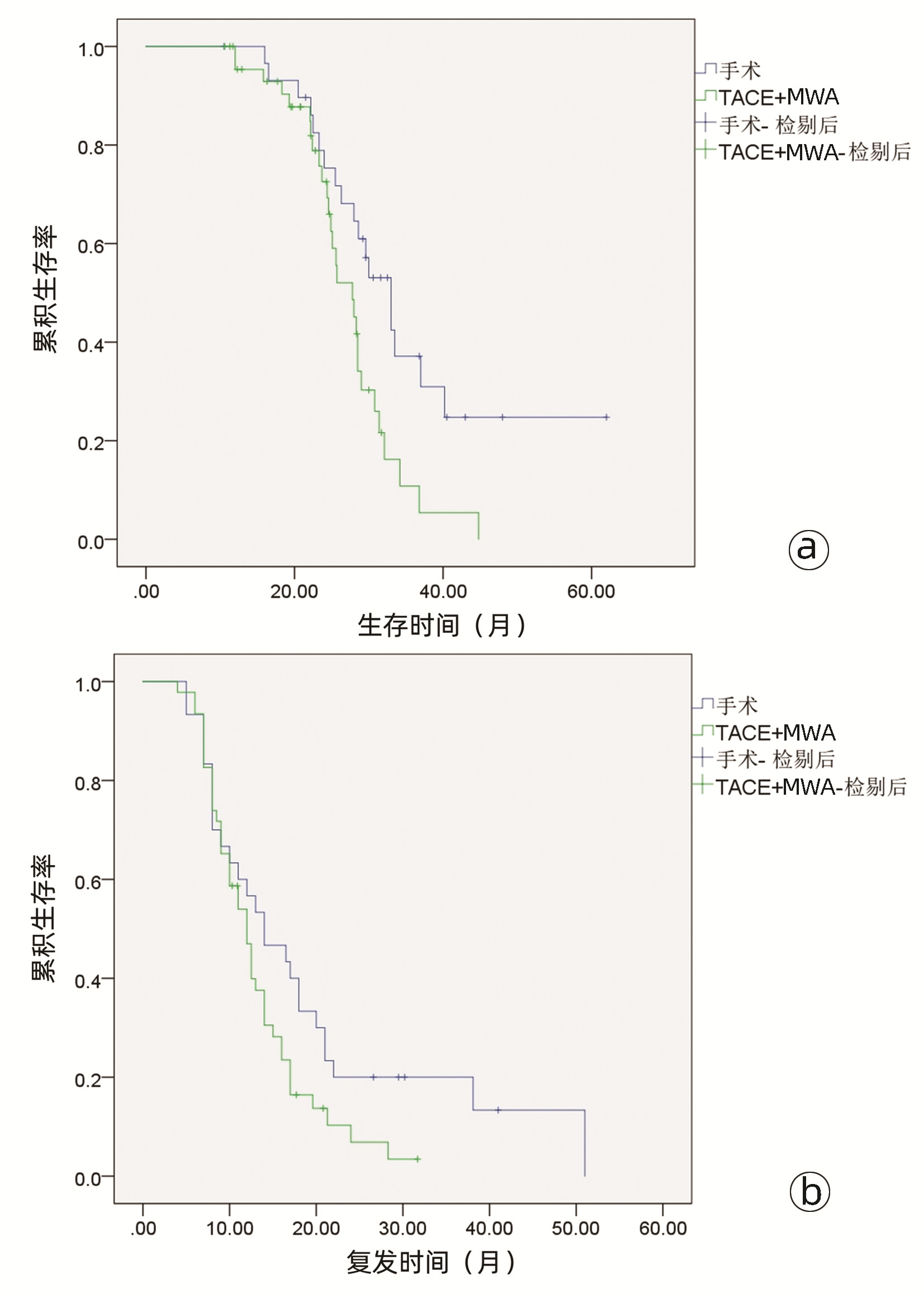 经肝动脉化疗栓塞术联合微波消融与重复肝切除术治疗复发性肝细胞癌的效果比较